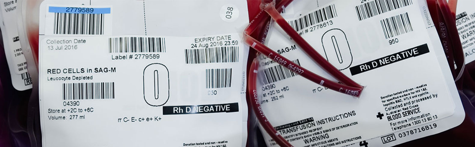Better management of the O negative blood supply | Australian Red Cross ...