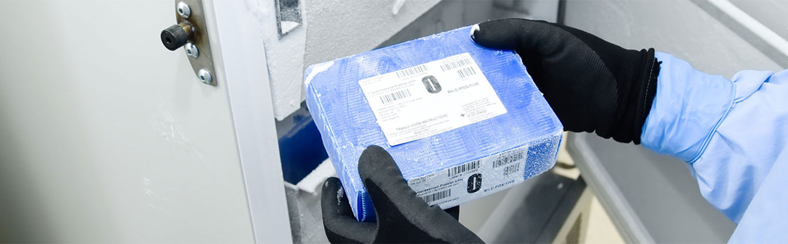 Frozen blood research | Australian Red Cross Lifeblood