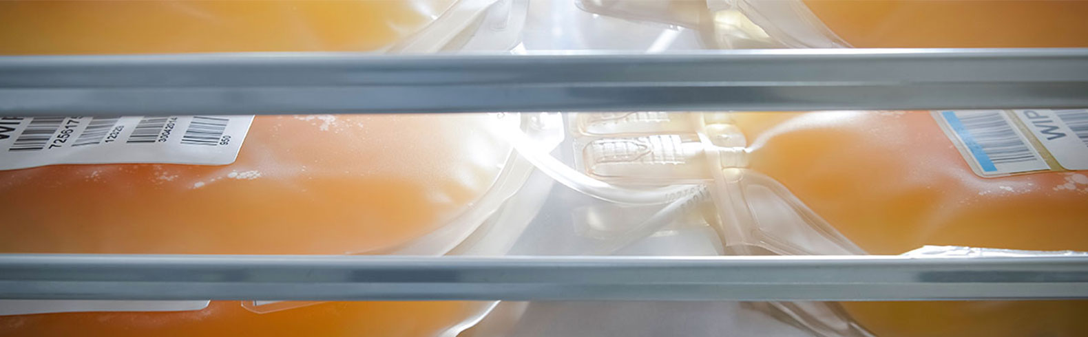 Rethinking platelet storage | Australian Red Cross Lifeblood