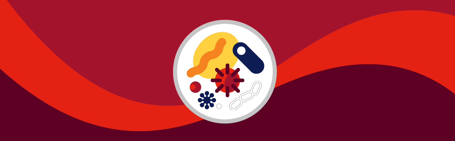 Faecal transplant capsules | Australian Red Cross Lifeblood