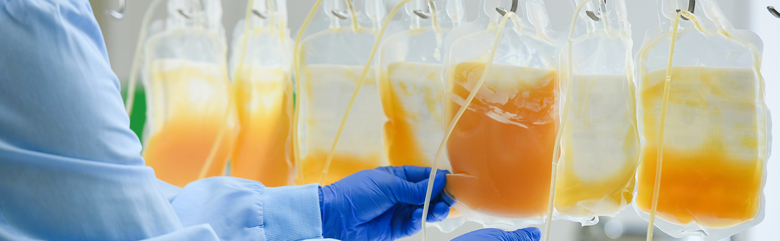 What is plasma and why should you donate it? | Australian Red Cross ...